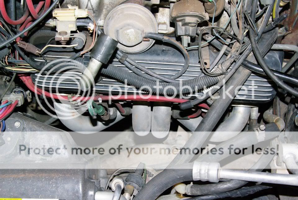 1981 Build - CorvetteForum - Chevrolet Corvette Forum Discussion