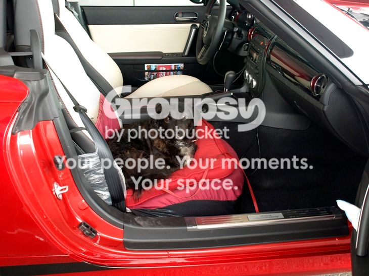 Did not drive the Miata...convertibles everywhere? - Page 4 - MX-5 ...